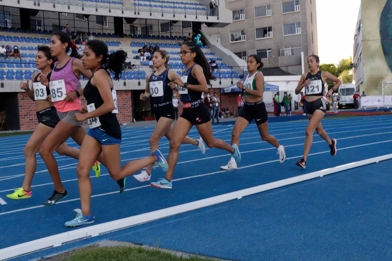 Estadio Olímpico Querétaro, recinto histórico y moderno para el deporte ...