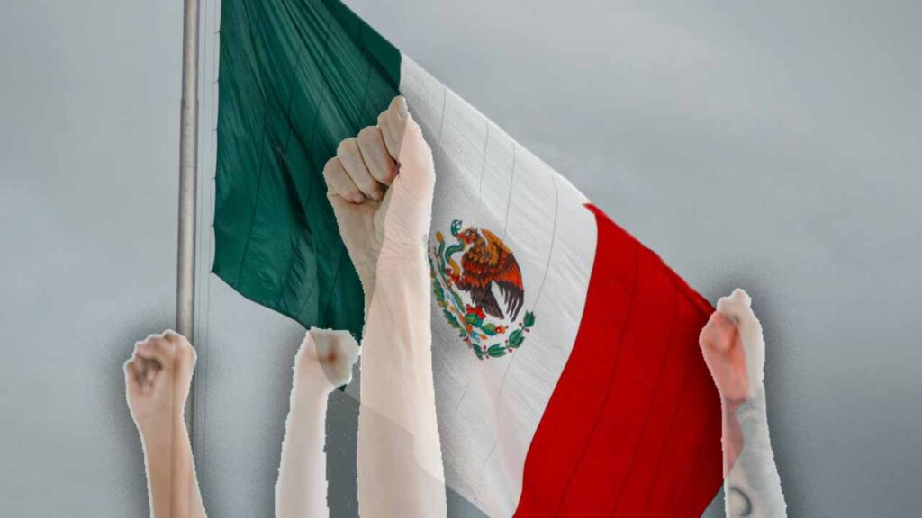 Artículo 1º Garante Del Respeto Y Protección A Los Derechos Humanos En