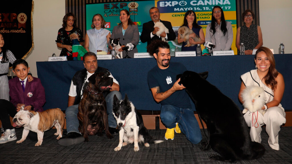 Expo Canina 2026 llegará al QCC con más de 500 ejemplares